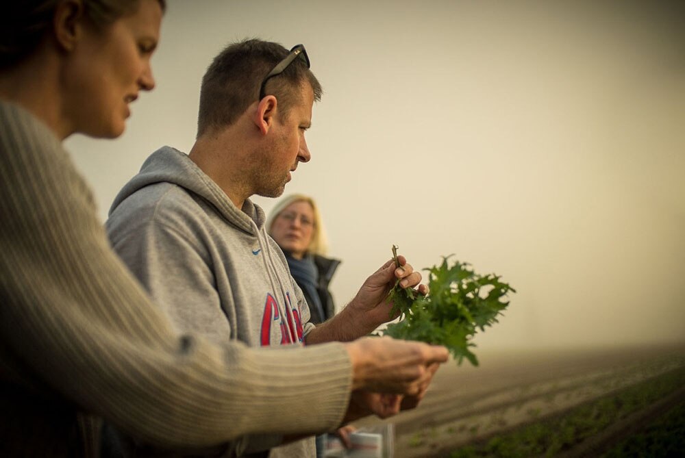 Sydney-based juice manufacturer relocates to the country in search of ...