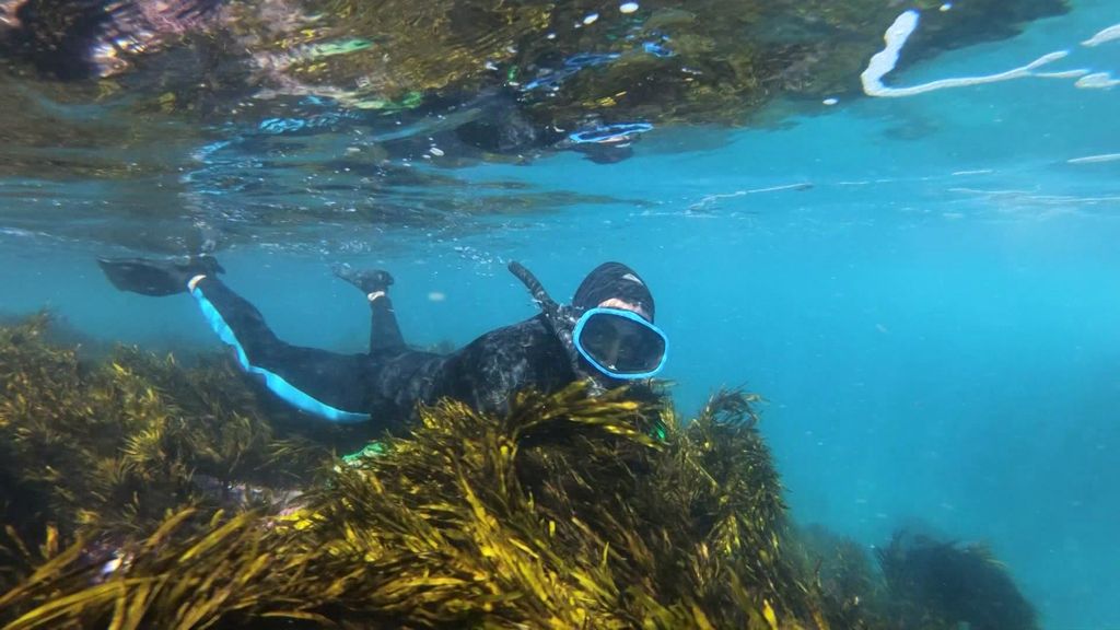 Calls for international recognition of First Nations fishing rights ...
