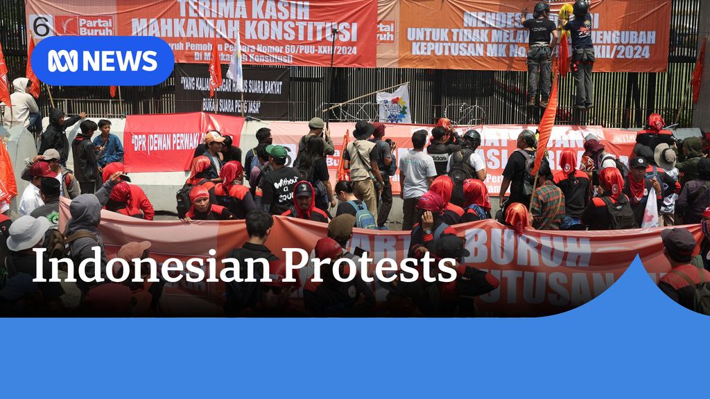 Letting Loose | Kathy Lette - ABC News