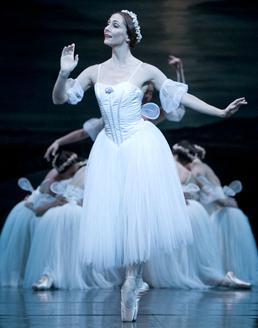 Australian Ballet's principal dancer quits the stage - ABC News