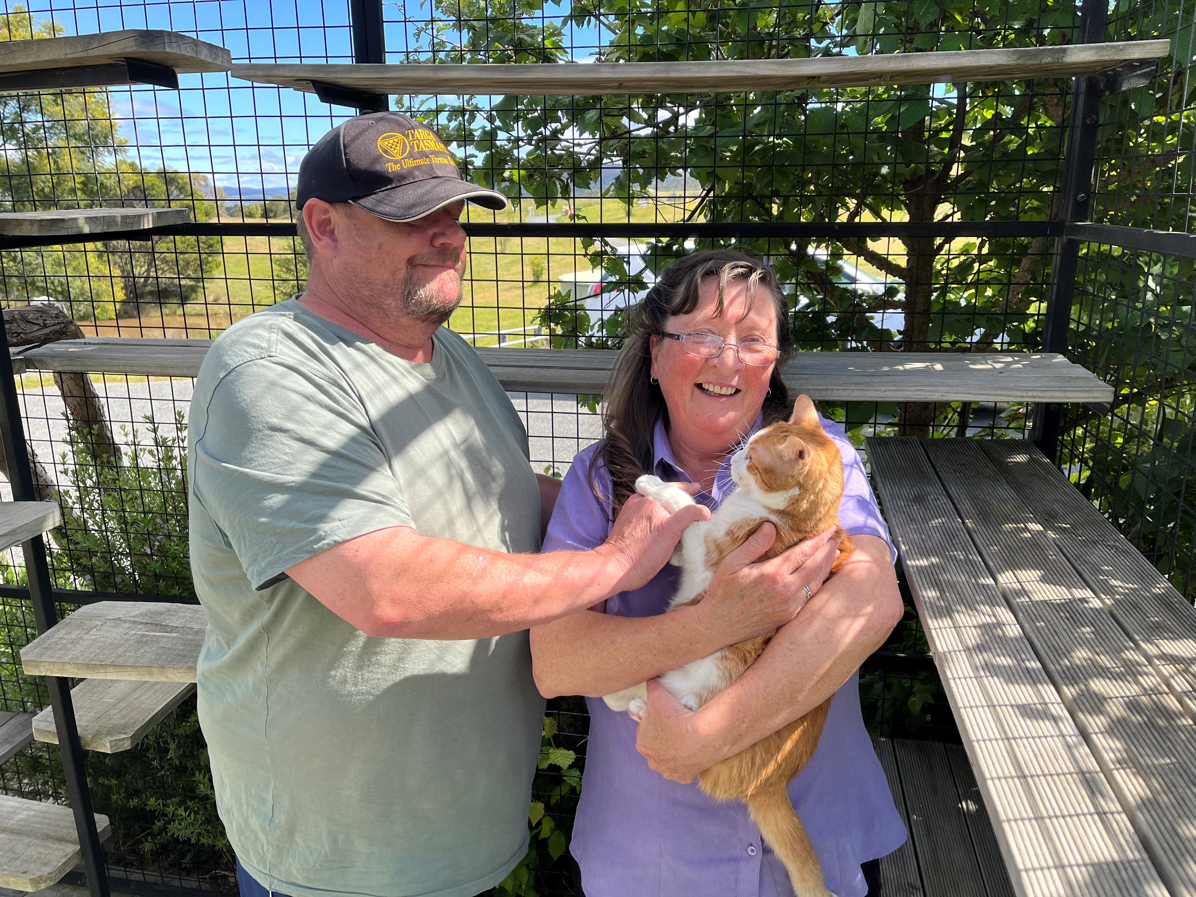 Cats vs PTSD - ABC listen