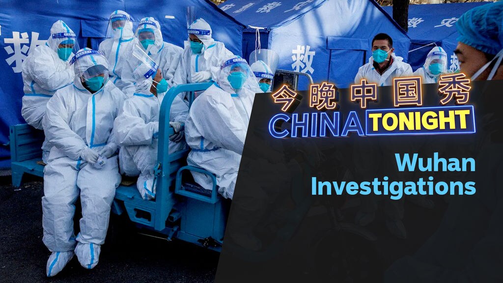 Did COVID-19 originate from a Wuhan wet market or a Chinese lab? - ABC News