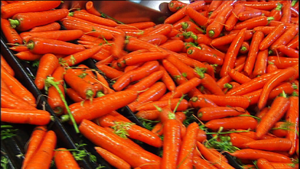 What's up Doc? - ABC News
