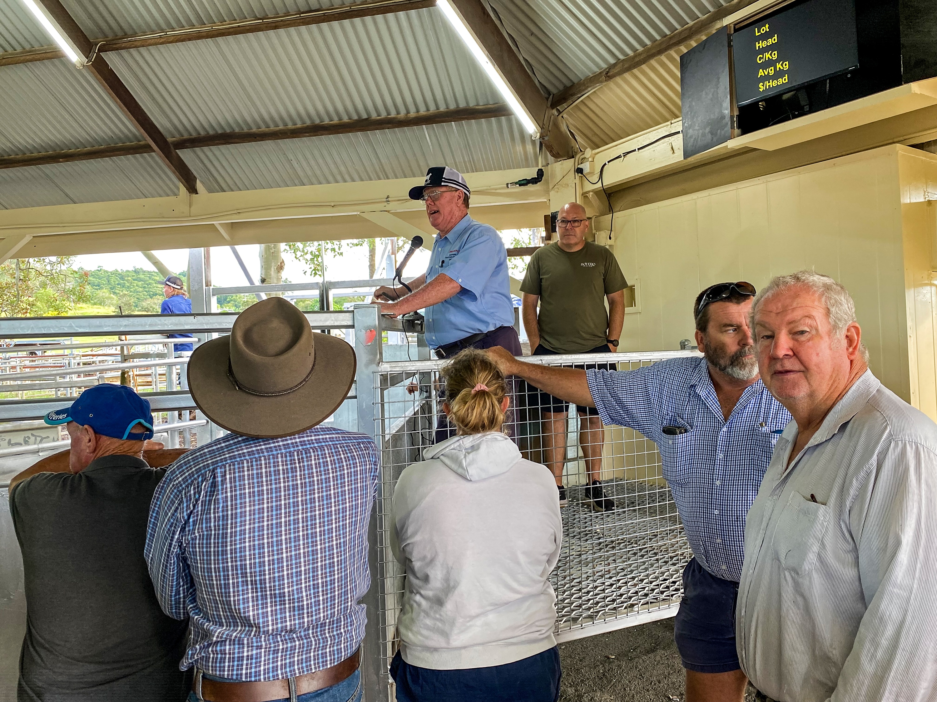 Casino community calls to put the beef back in the beef capital at ...