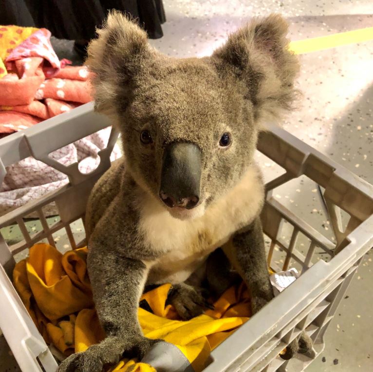 RuralCo Water's general manager Phil Grahame explains why reforming ...