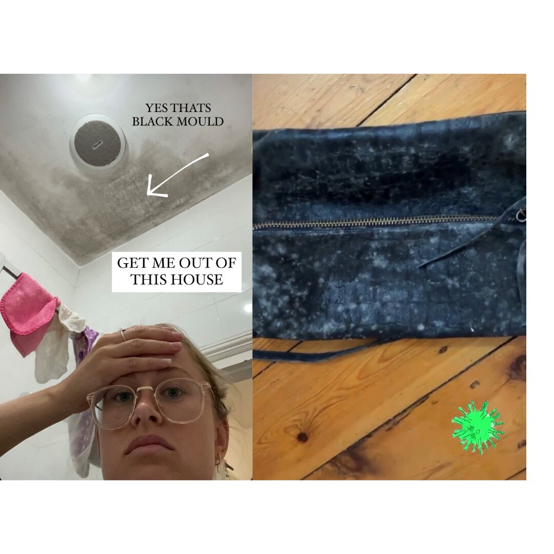 Mould in your rental? It could be making you sick - triple j