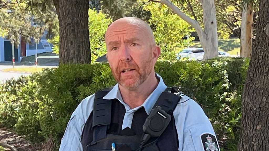 Acting Inspector Travis Mills speaks about the fatal crash on Lady Denman Drive. - ABC News