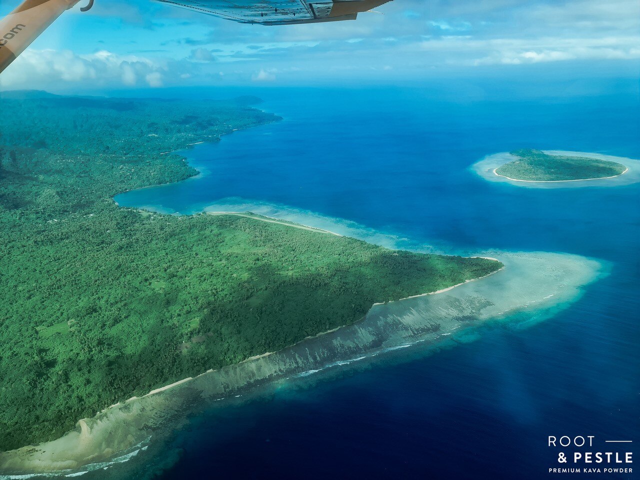 Scientist fills plane 'to the ceiling' after hunt for rare kava strain ...