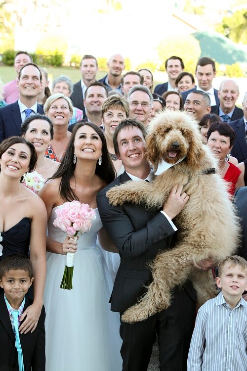 Dogs at weddings: Why couples include their four-legged friend when ...