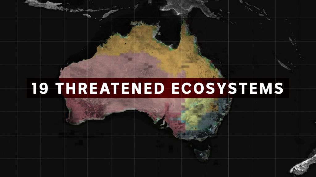 Leading scientists warn Australia's ecosystems are facing collapse ...