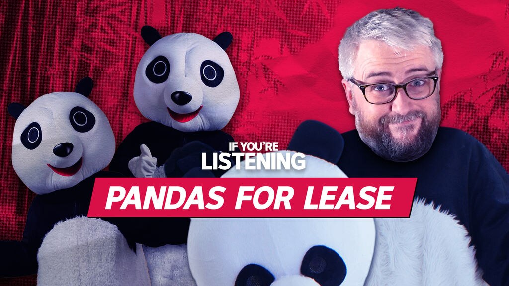 Panda diplomacy: How China uses pandas to send a message - ABC News