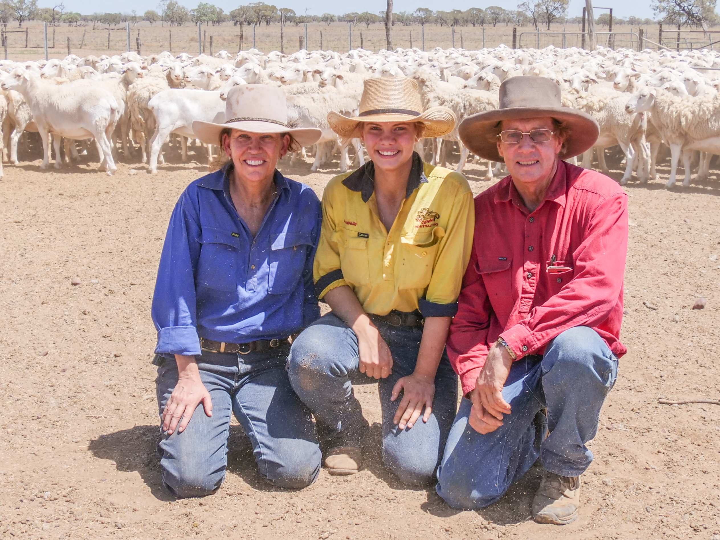 Risky move from wool to meat pays off in drought for Longreach sheep ...