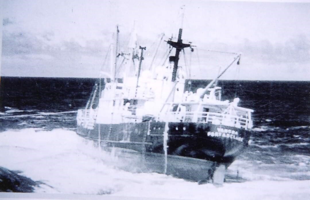 South Australia WWII shipwreck of Yandra cargo vessel visited by diver ...