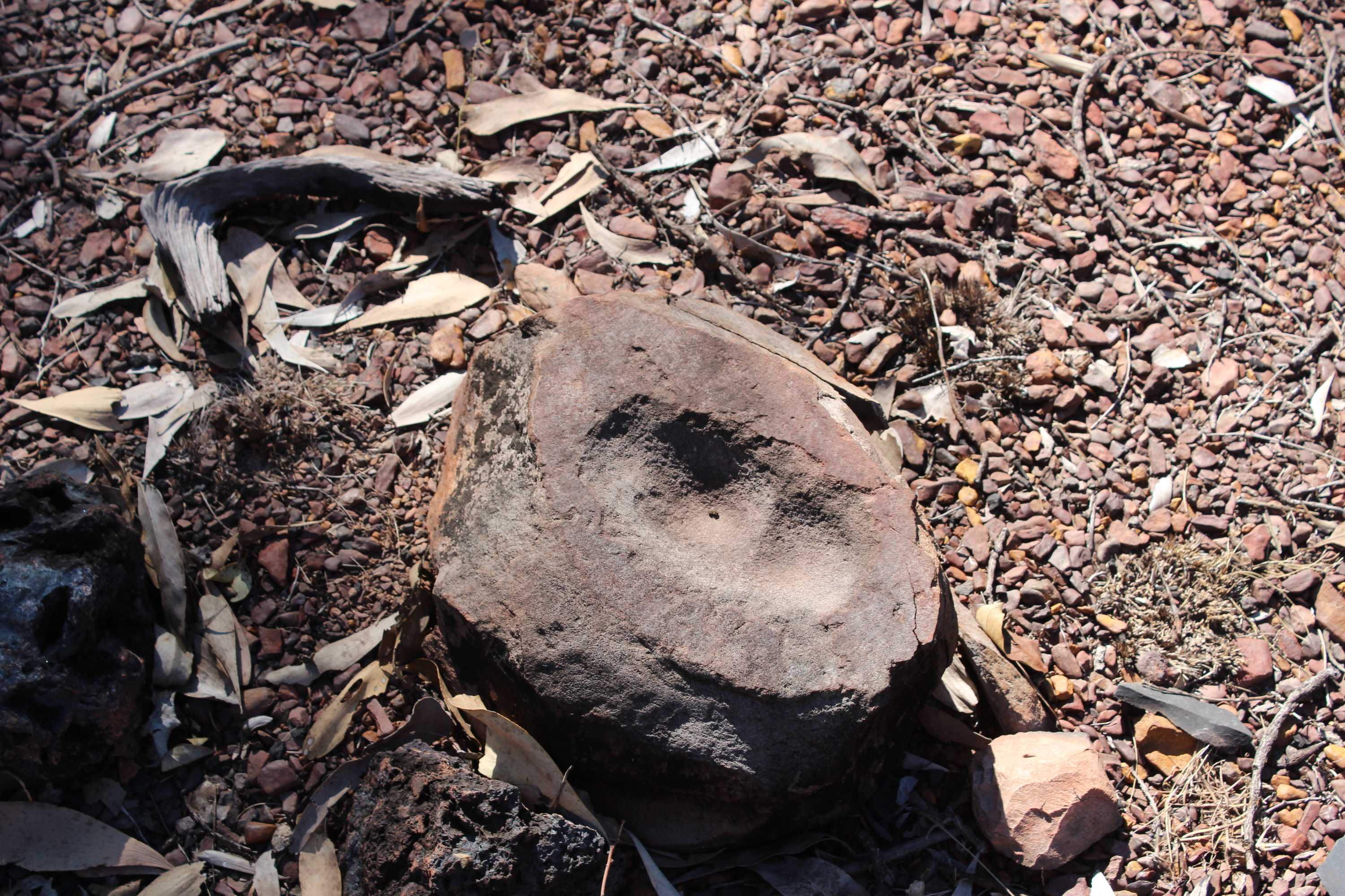 Top End miner digs deep to protect Aboriginal artefacts - ABC News