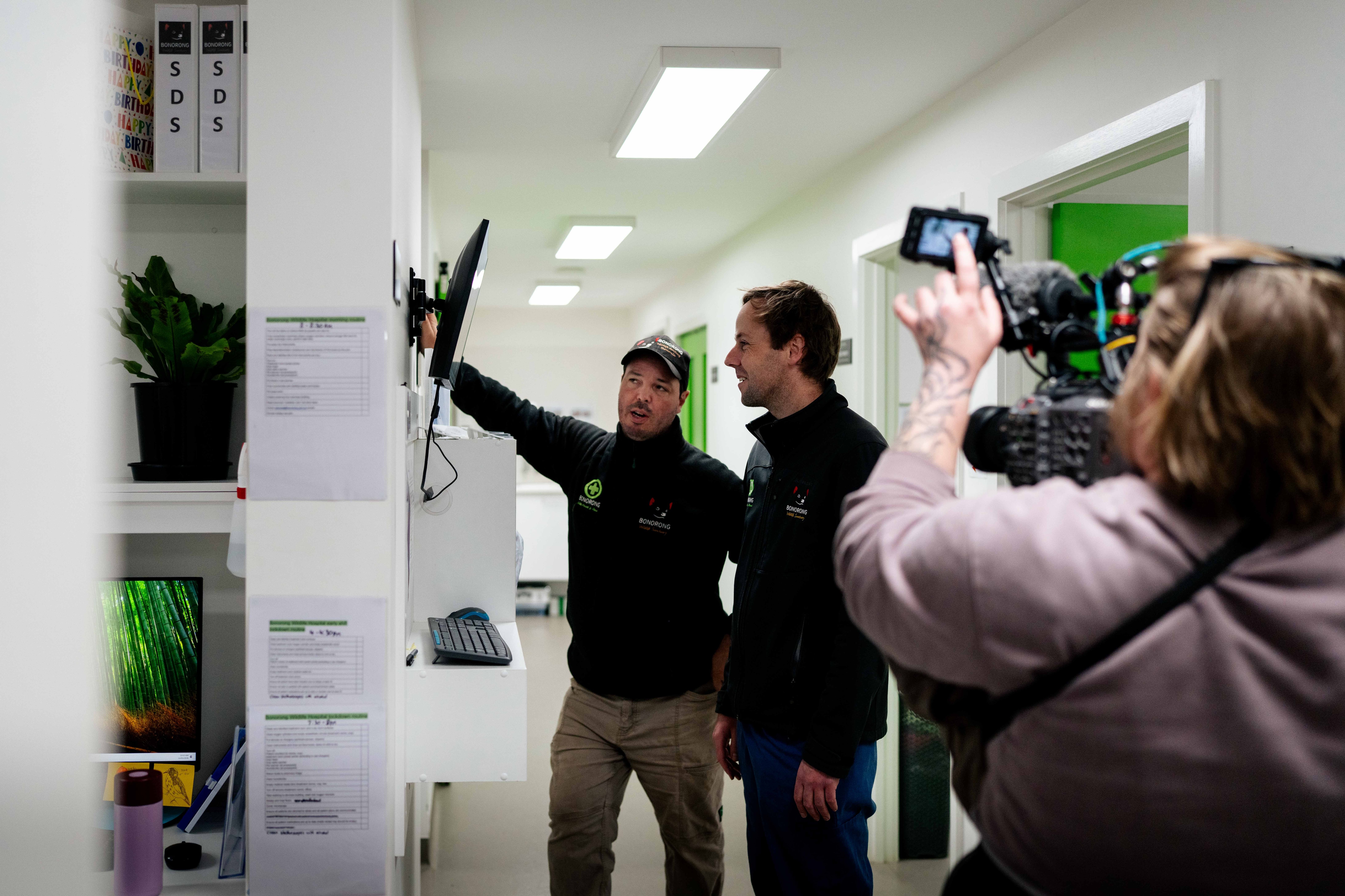 Tasmania's Bonorong wildlife hospital to star in docuseries The Animal ...