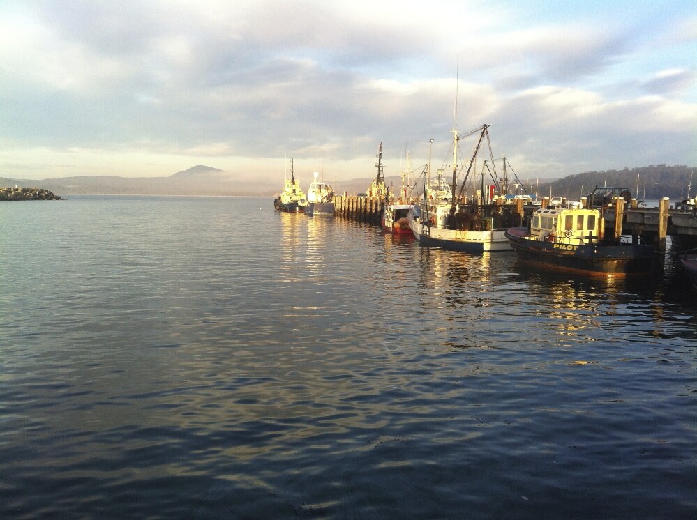 Port of Eden expansion set to make 'Snug Cove' in south east NSW, an ...