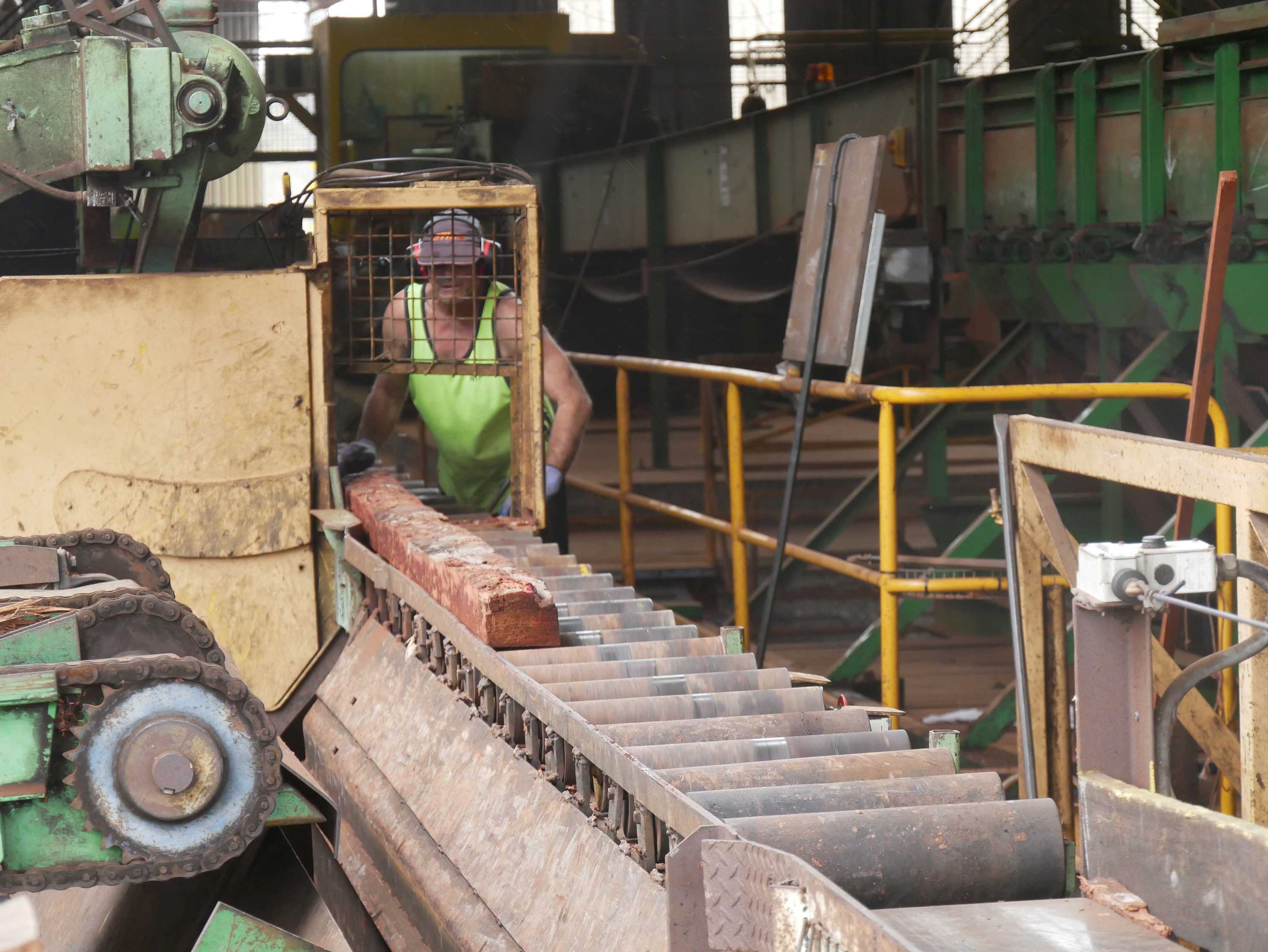 WA's native logging ban blamed for 'devastating' closure of Nannup ...