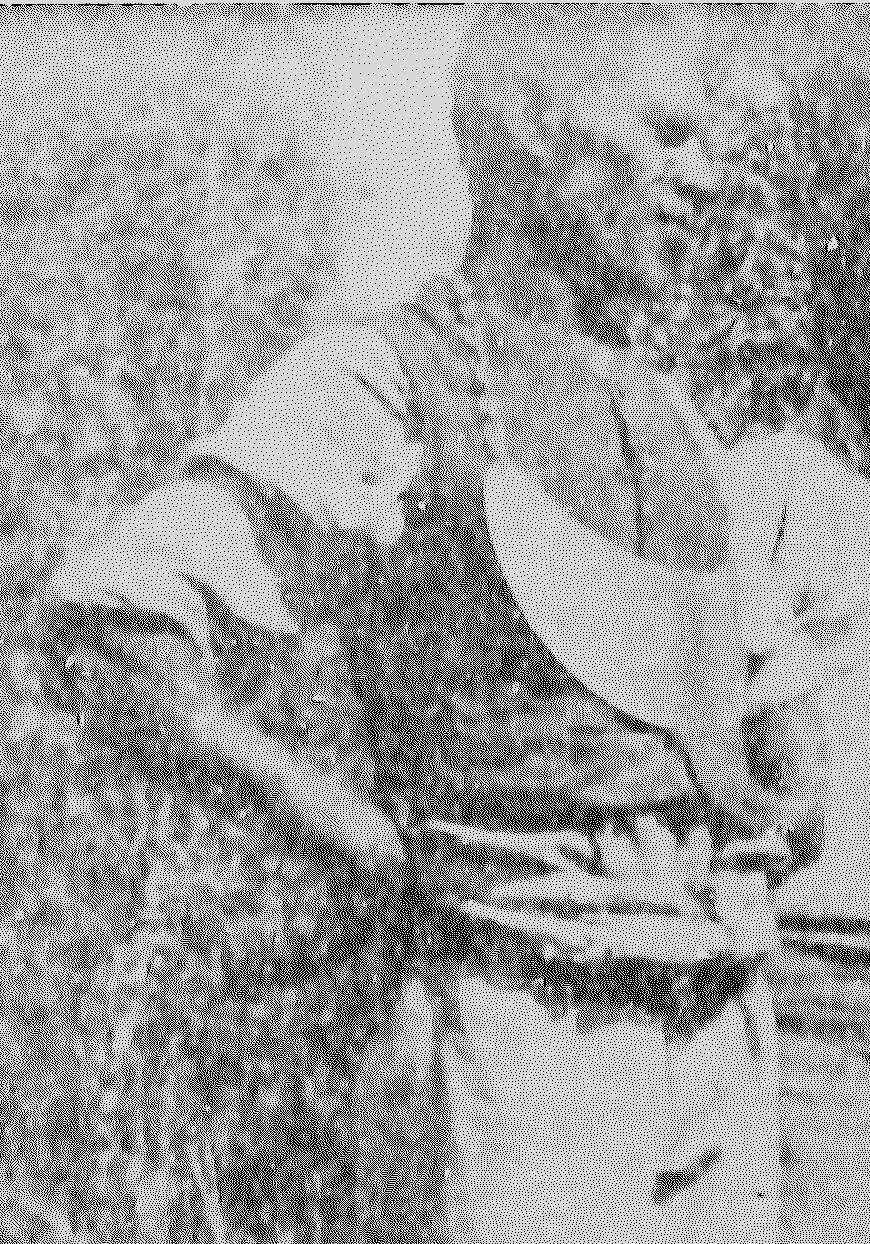 Fred Leone went looking for his mother's lost family history. He ...