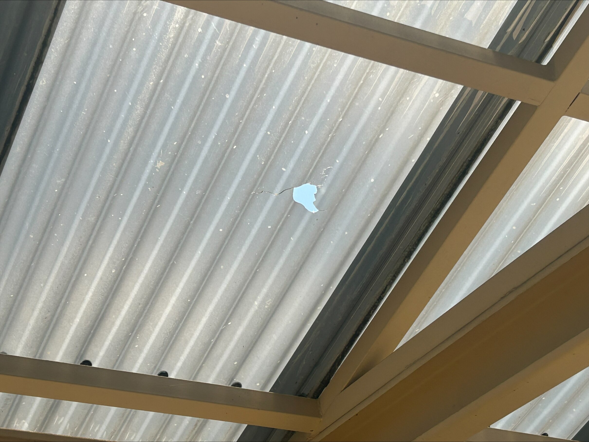 Explosions send shrapnel flying from tobacco shop engulfed in ...