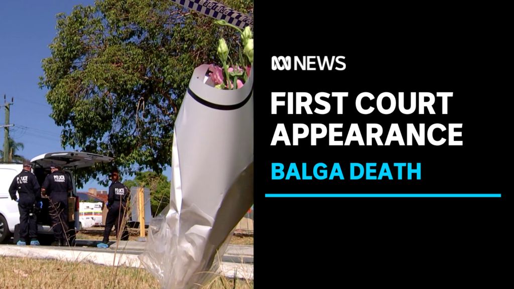 Court told alleged killer has history of mental illness - ABC News