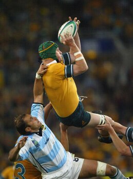 Giffin returns to full-strength Wallabies side - ABC News