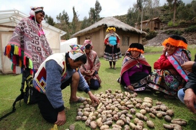 Rural reporter visits the home of potato - ABC News