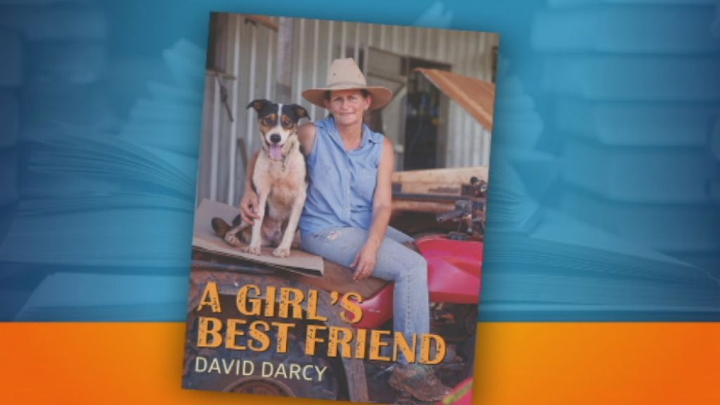 A Girl's Best Friend: David Darcy - ABC News