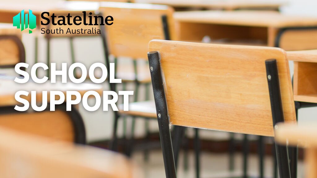 School exclusions disproportionately impact disadvantaged students ...