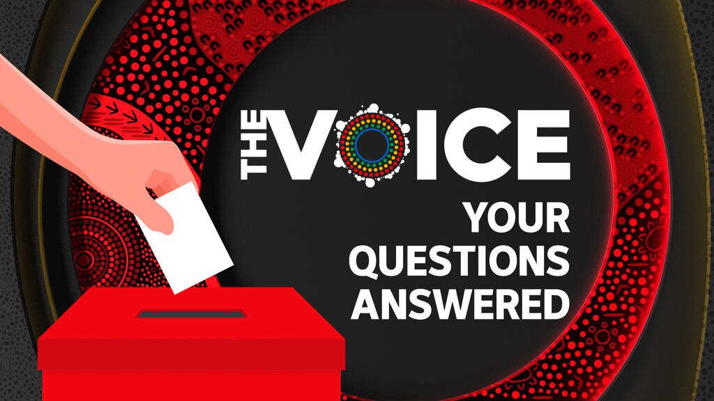 Indigenous Voice to Parliament Referendum - ABC News