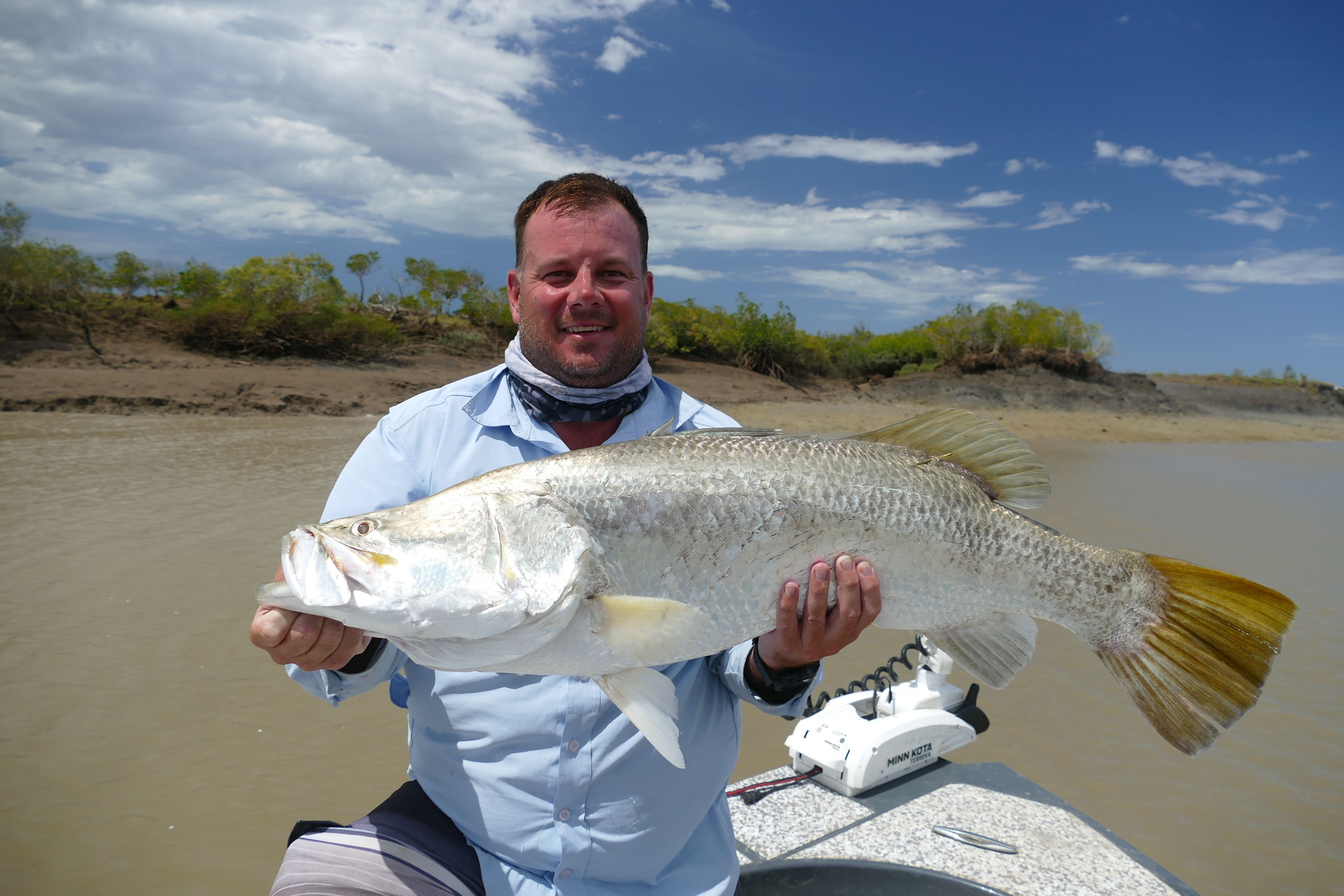 Barramundi with tags in Brisbane River could be due to impact of ...