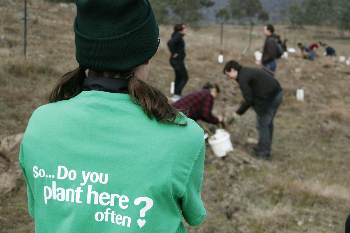 Seed dating: Canberrans branch out in the search for love - ABC News