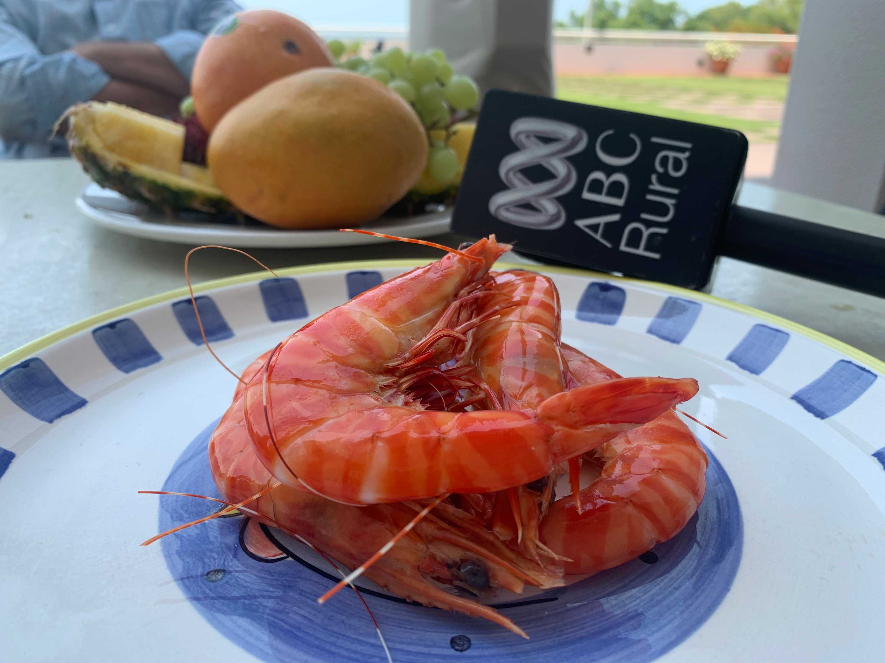 NT Country Hour - ABC listen
