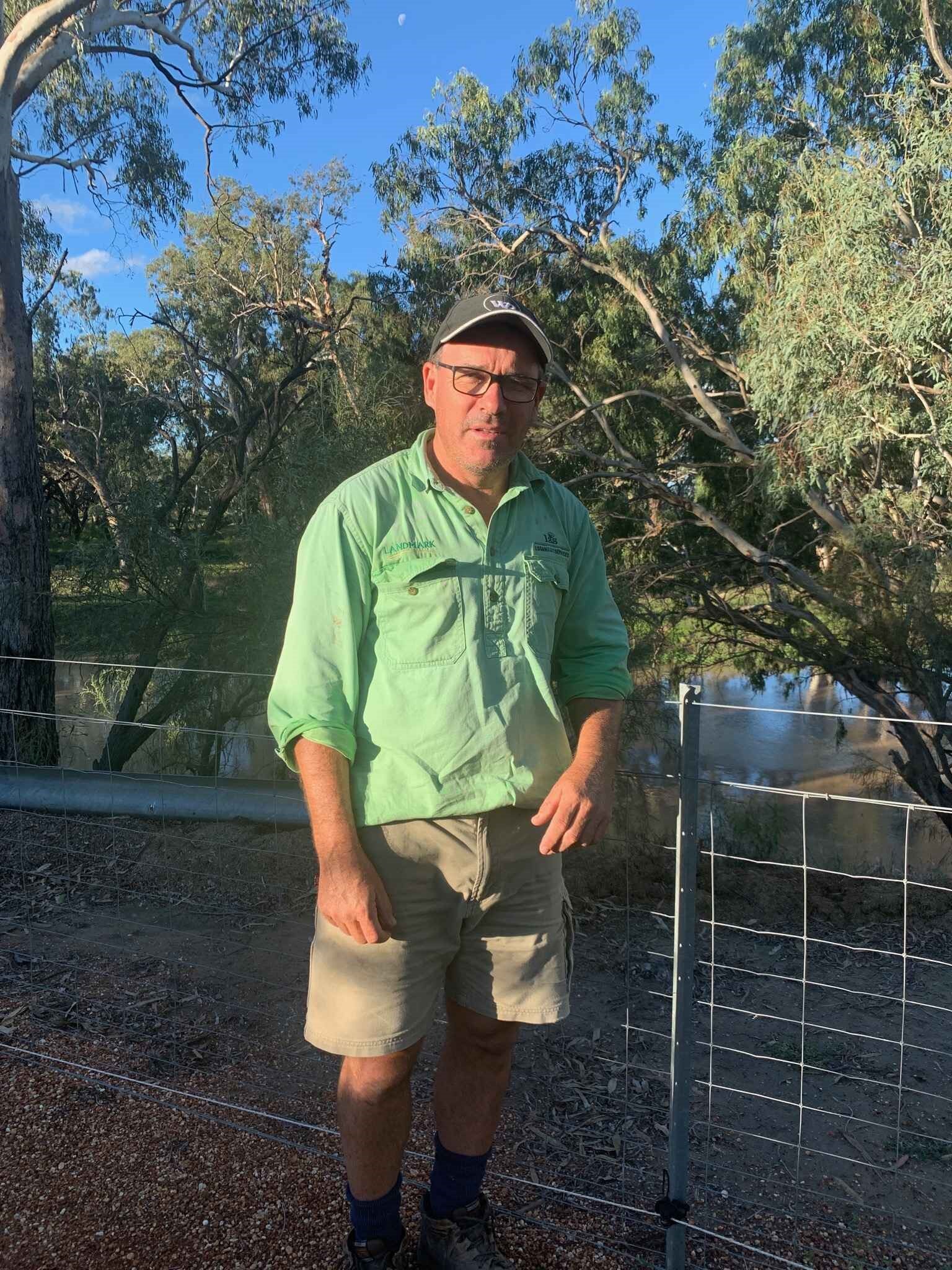 Why the NSW floods might not end the mouse plague - ABC News