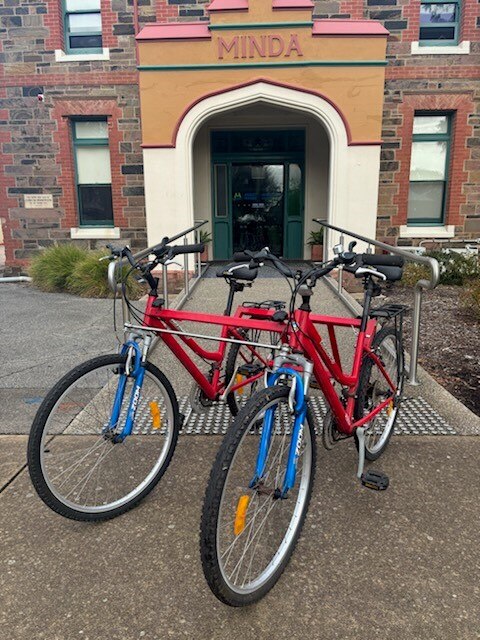 'Excellent humans' donate bikes to get Minda back in the saddle - ABC ...