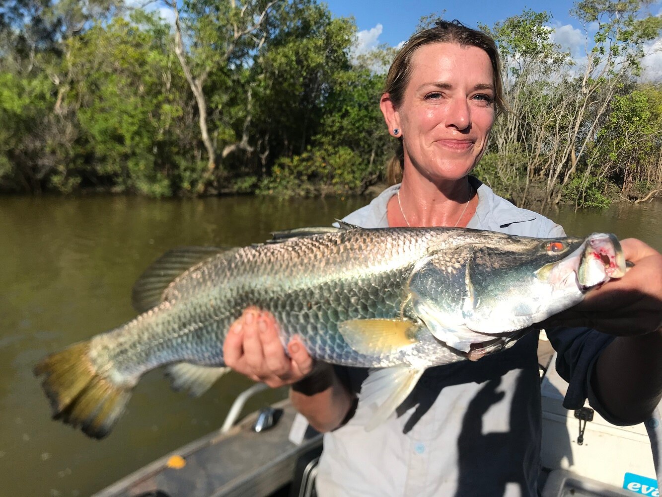 Queensland takes big stick to black jewfish black market, but is it ...