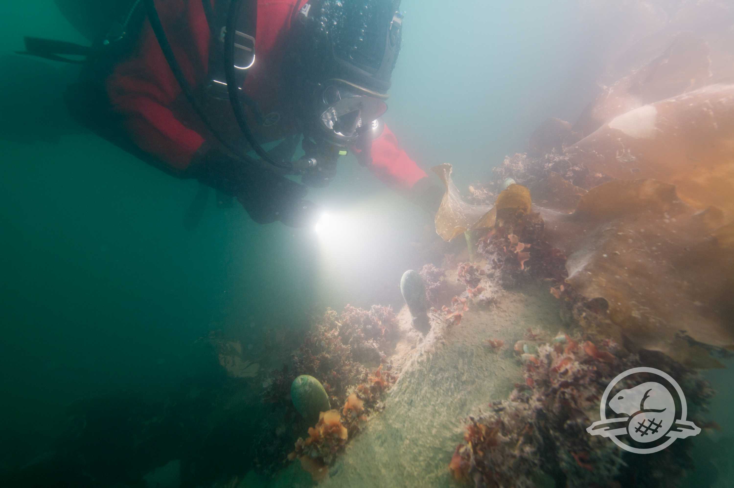 HMS Terror: Researchers locate shipwreck solving one of the biggest ...