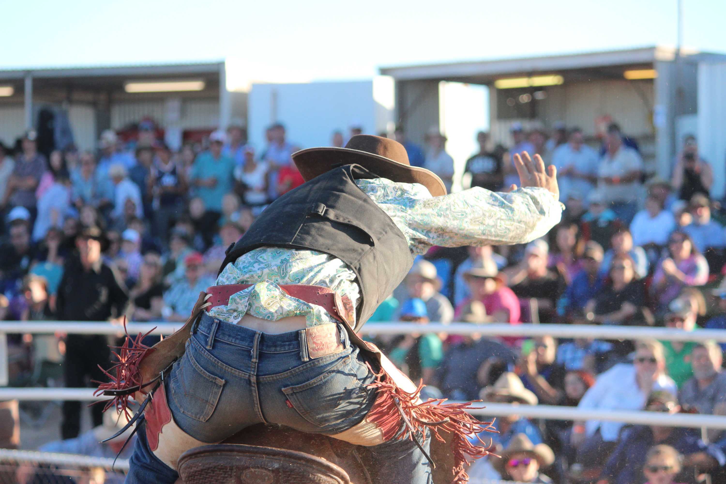 Carrieton 2015: Cowboys light up Christmas in outback SA - ABC News