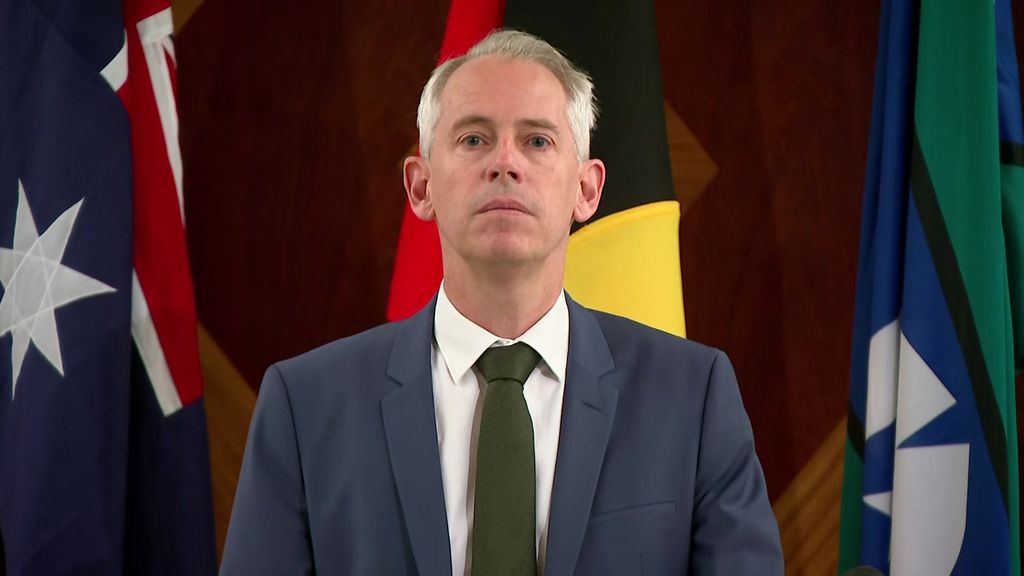 Andrew Giles issues replacement to 'direction 99' - ABC News