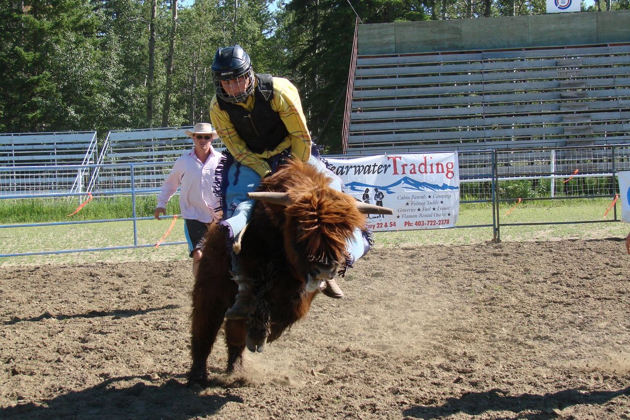 Reporter rodeo rides for charity - ABC News