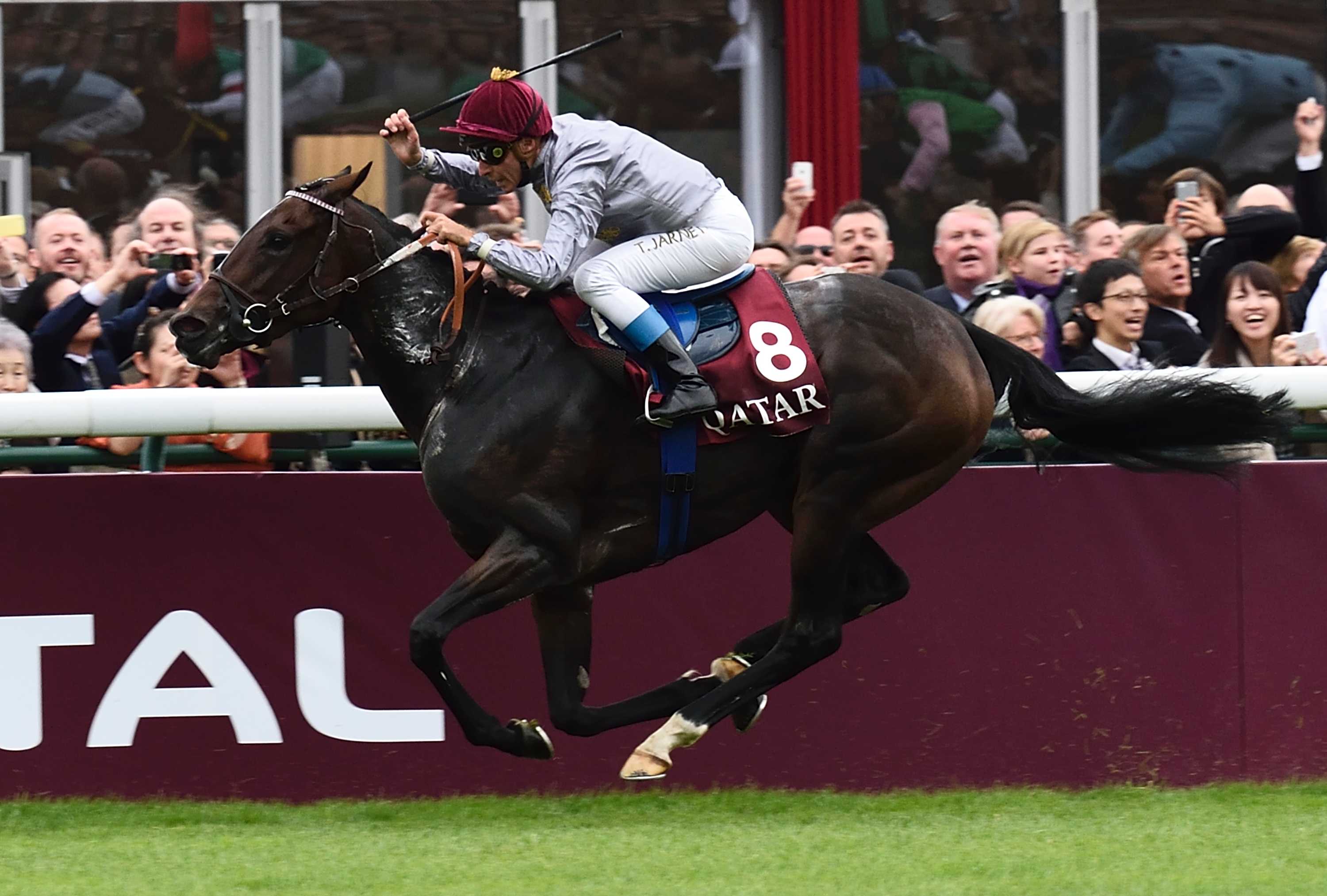 Treve powers to second successive Arc win - ABC News