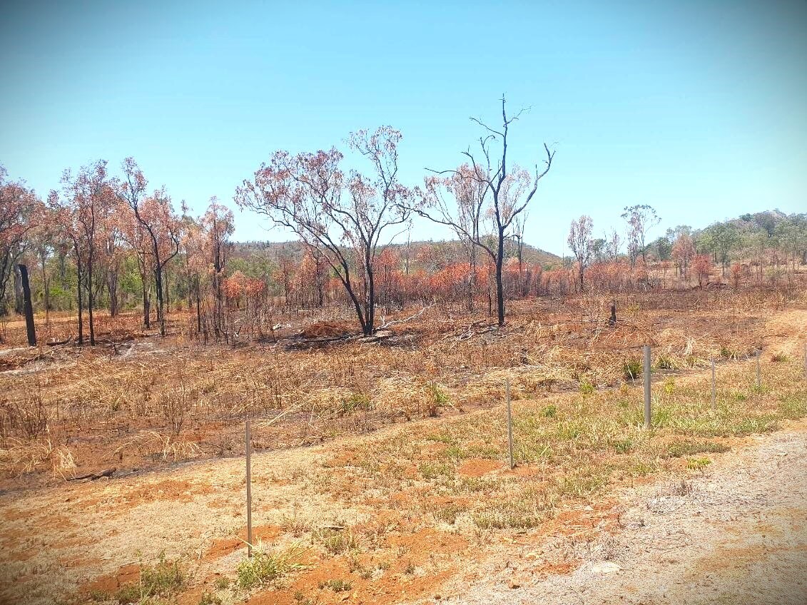 Police investigating suspicious fires near Rockhampton during central ...