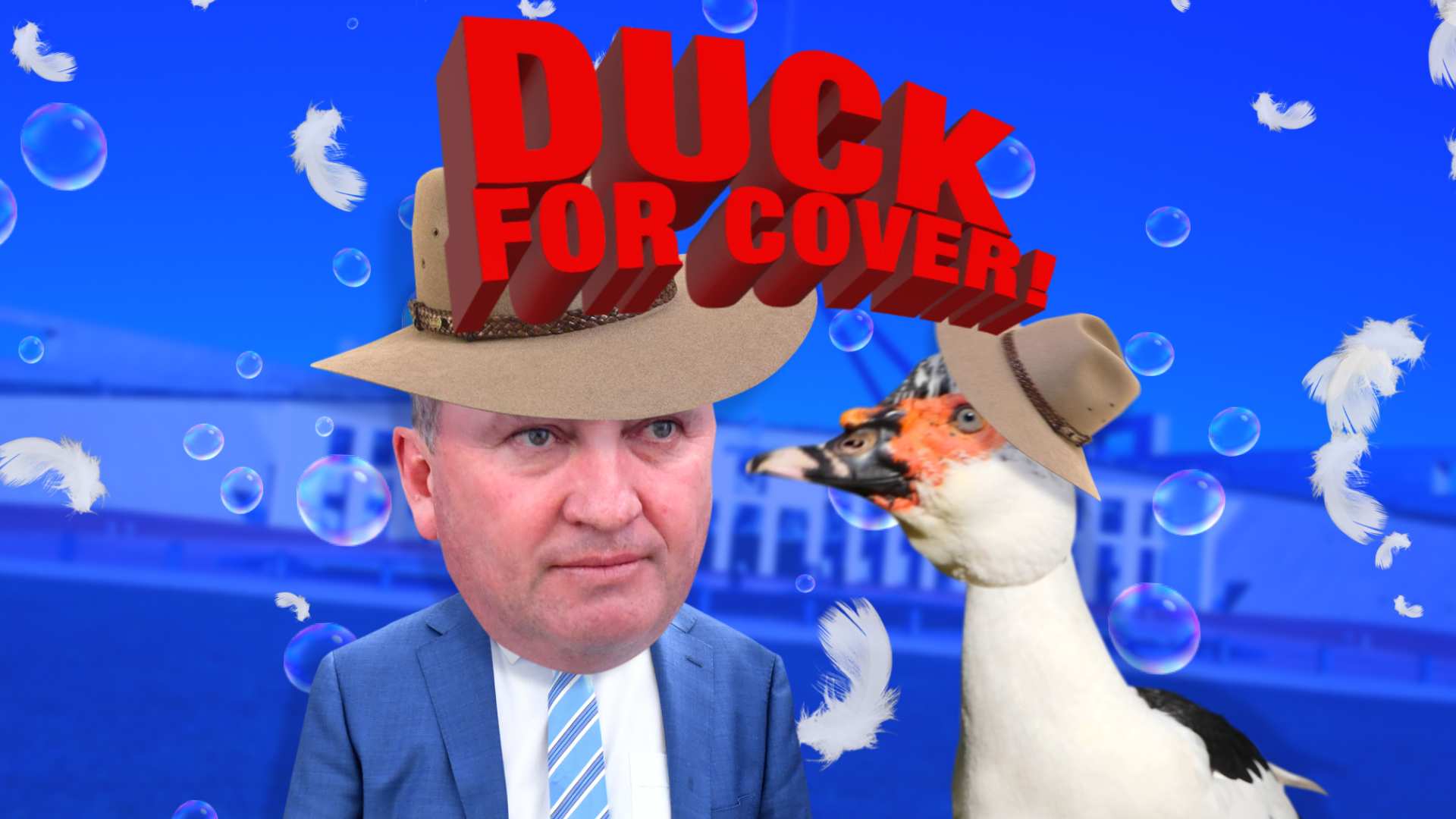 Duck for cover! - Media Watch
