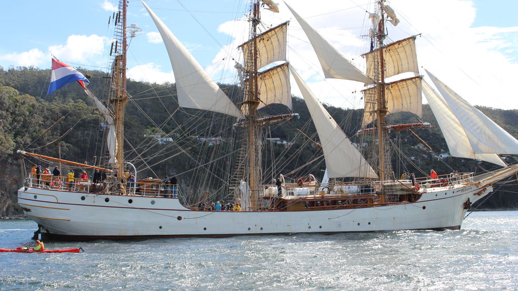 Ship to shore - ABC News