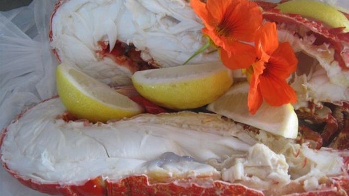 Crayfish with orange and ginger - ABC News