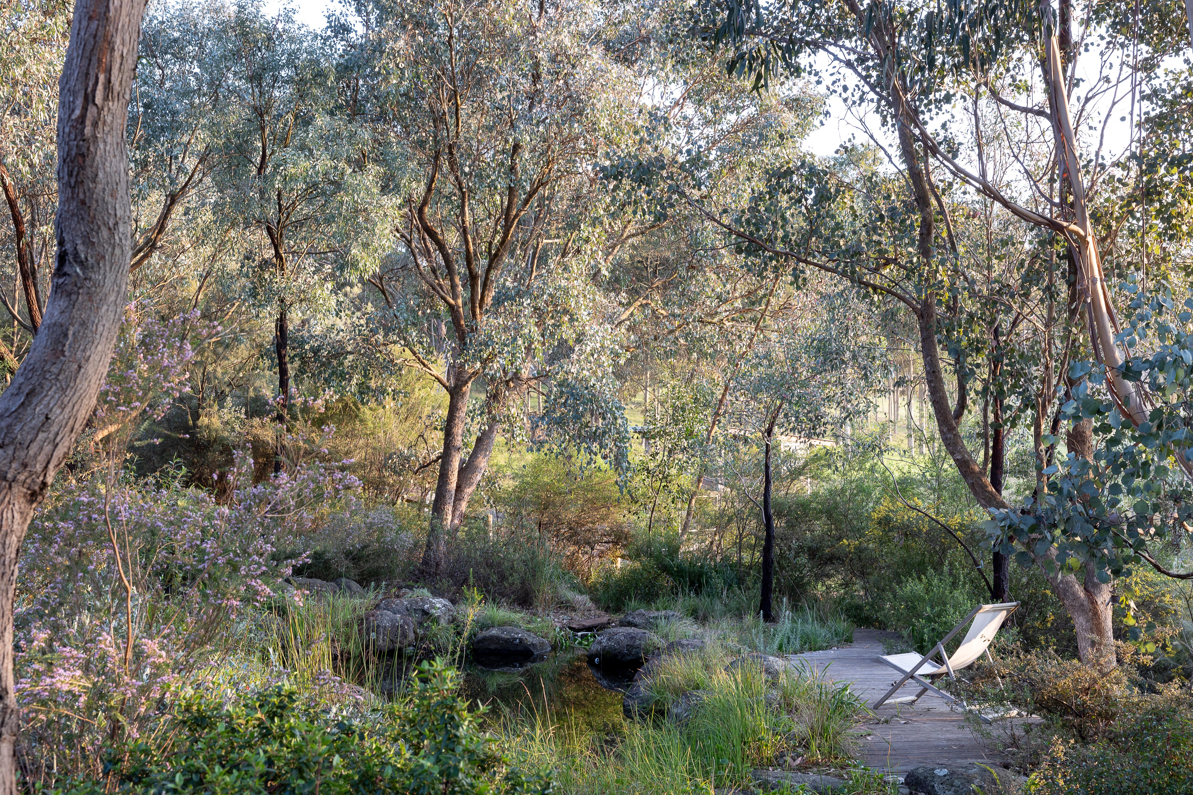 A modern grand tour, Sam Cox on garden design, and plants in space ...