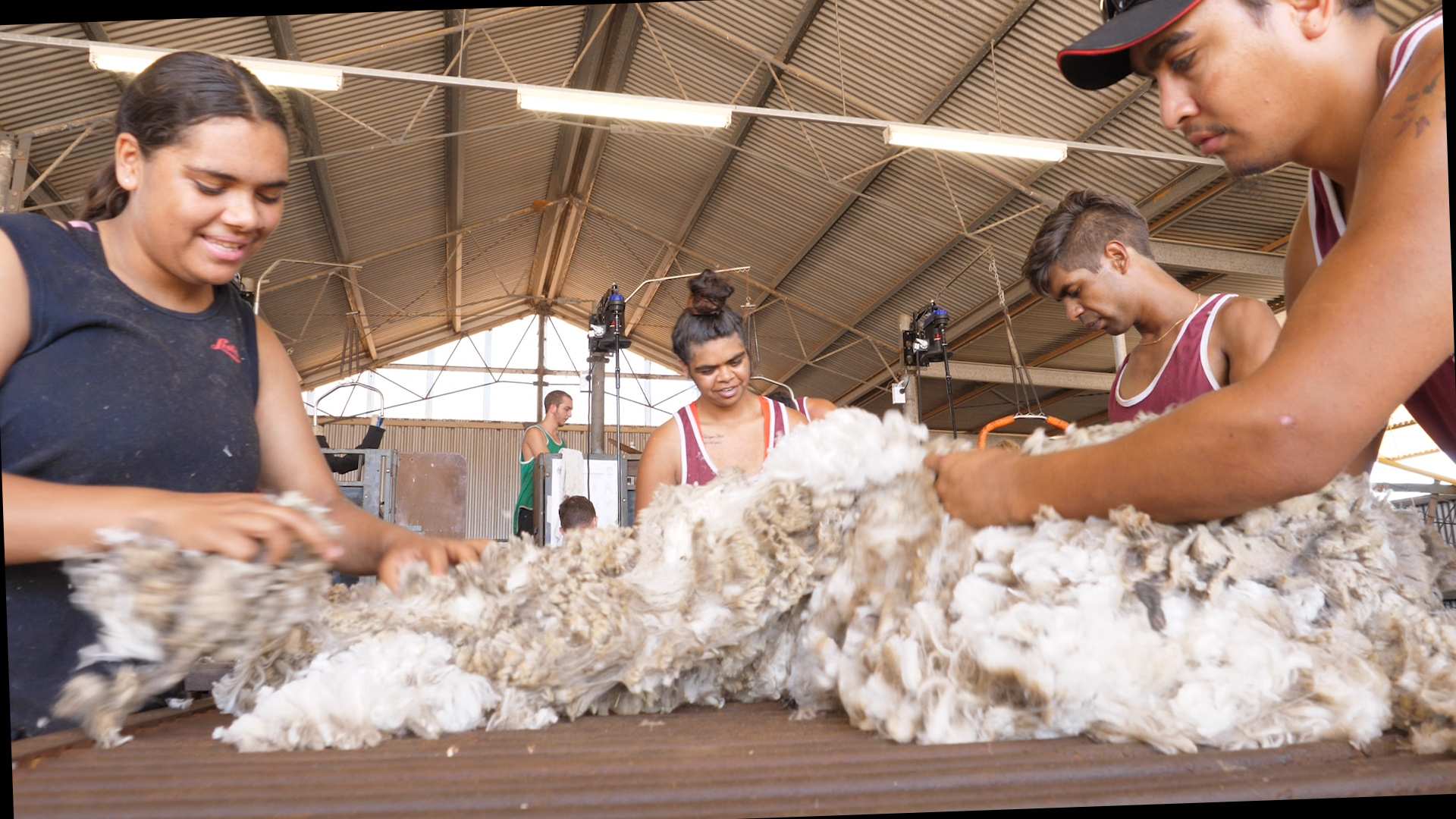Shearing school caters to increased demand for shearers and provides ...