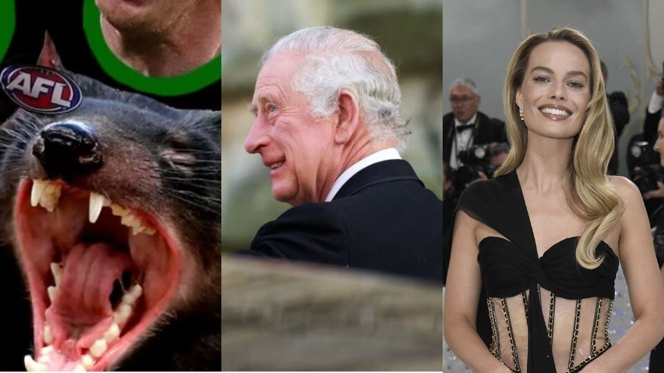 Weekly news quiz: Tassie to join the AFL, a coronation fit for a King ...