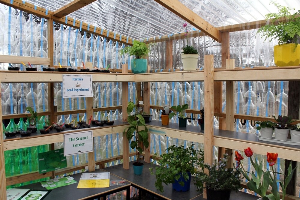 Primary school students create greenhouse using over 2,000 recycled ...