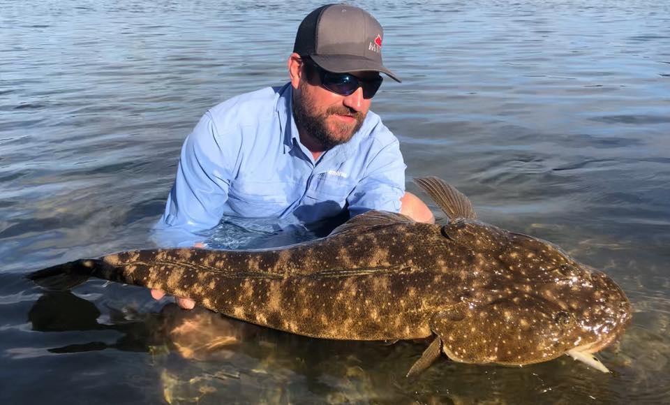 Monster Flathead of Lake Macquarie - ABC listen