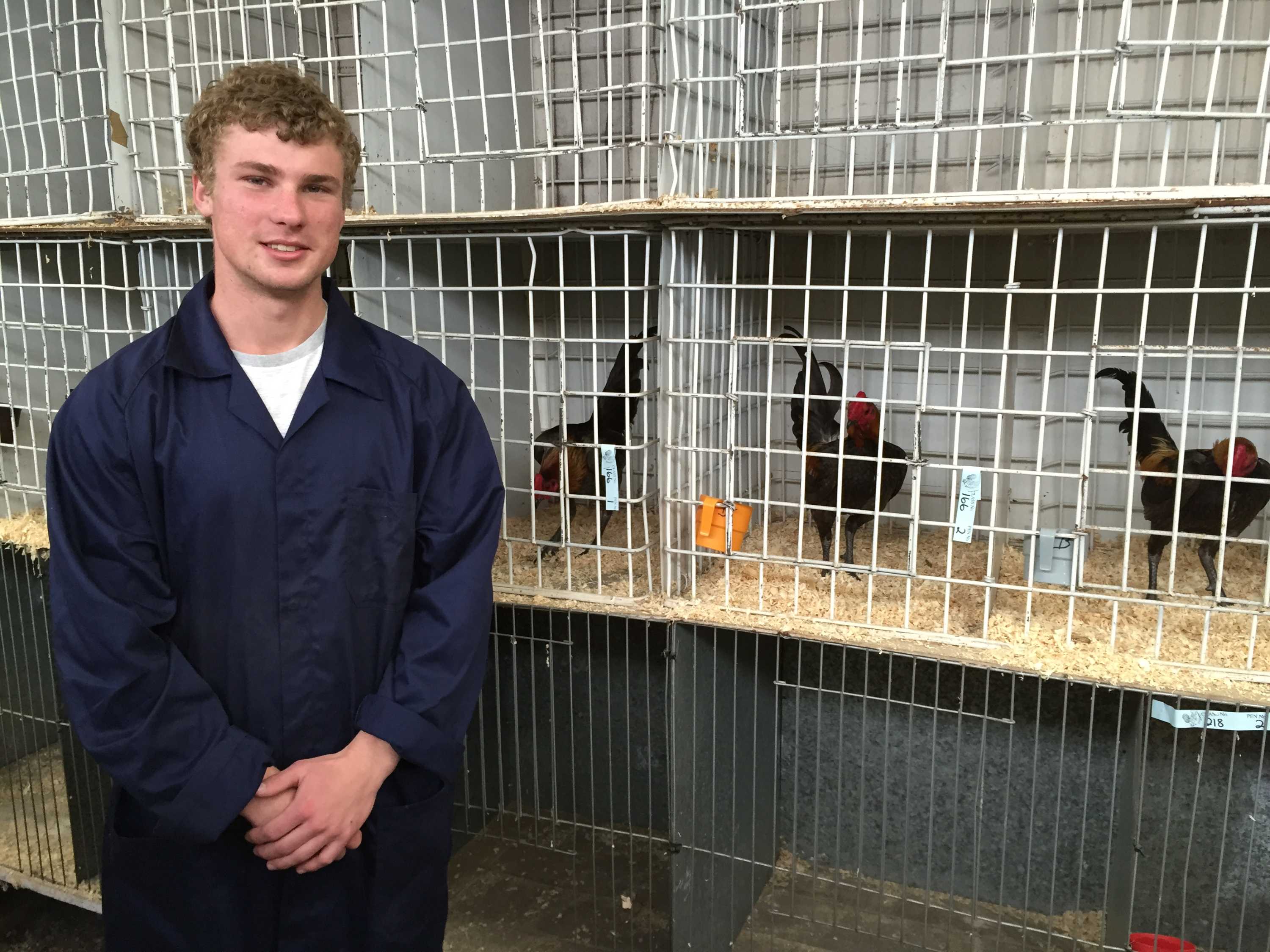Young Bega Valley poultry judges fostered at spring show in bid to keep ...
